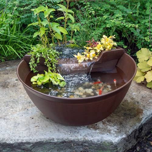 MyPond - Your Trusted Pond Supplies Store