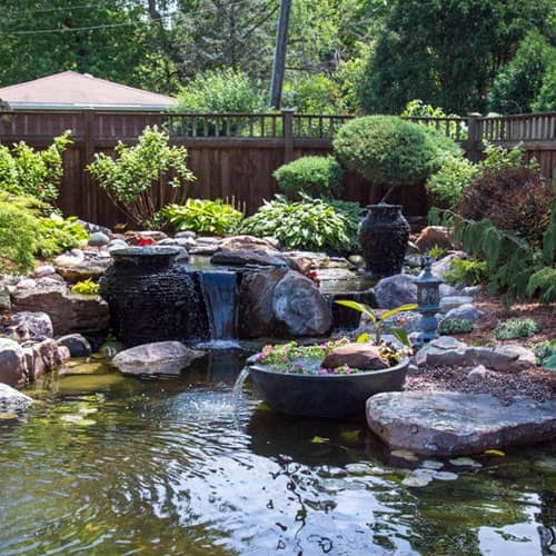 MyPond - Your Trusted Pond Supplies Store